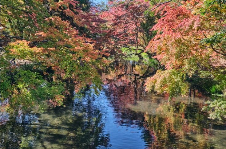 Japonsko